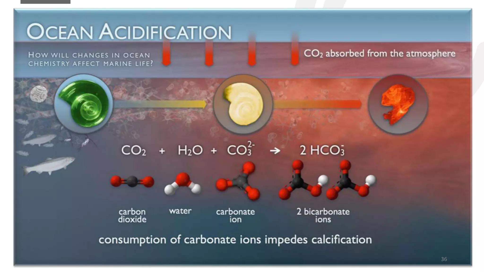 Micropaleontology in petroleum exploration.pptx