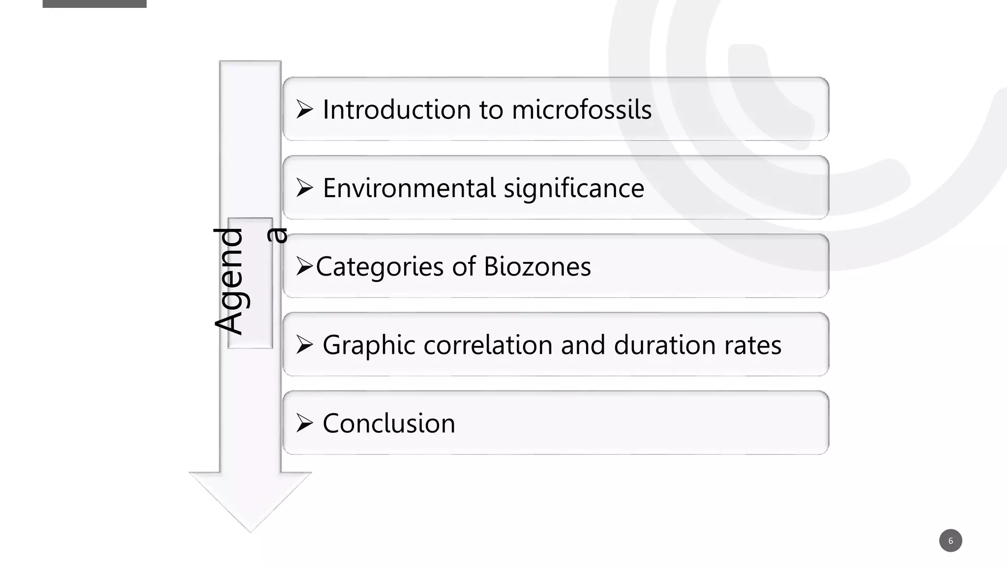 Micropaleontology in petroleum exploration.pptx