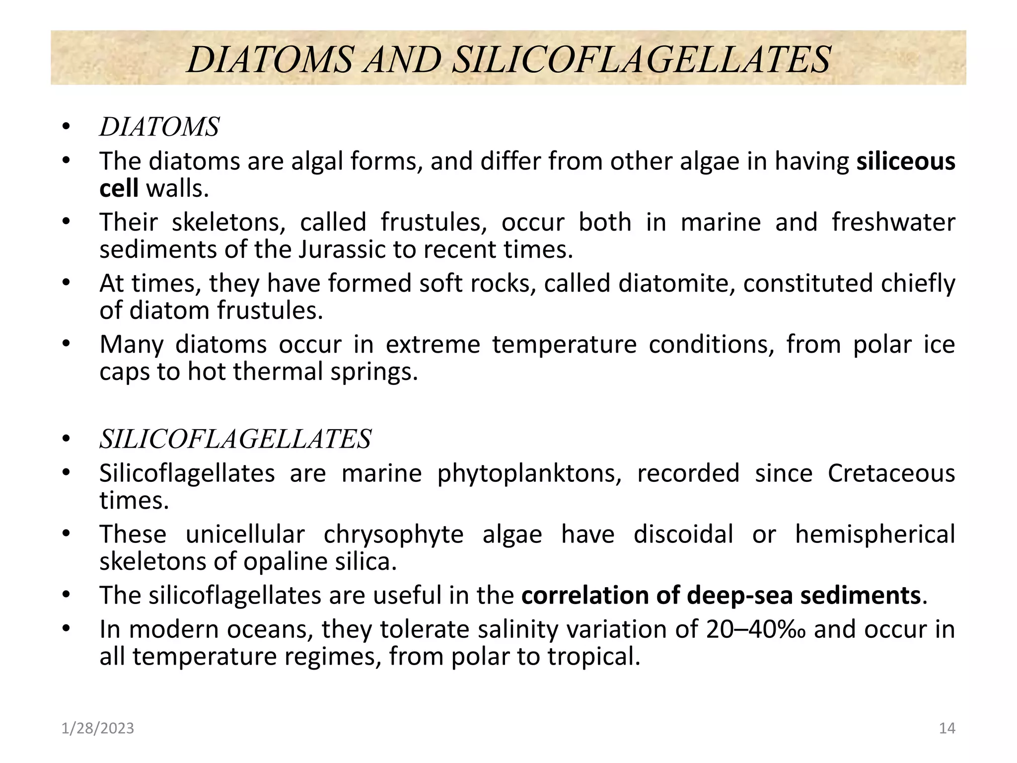 MICROPALEONTOLOGY ppt.pptx