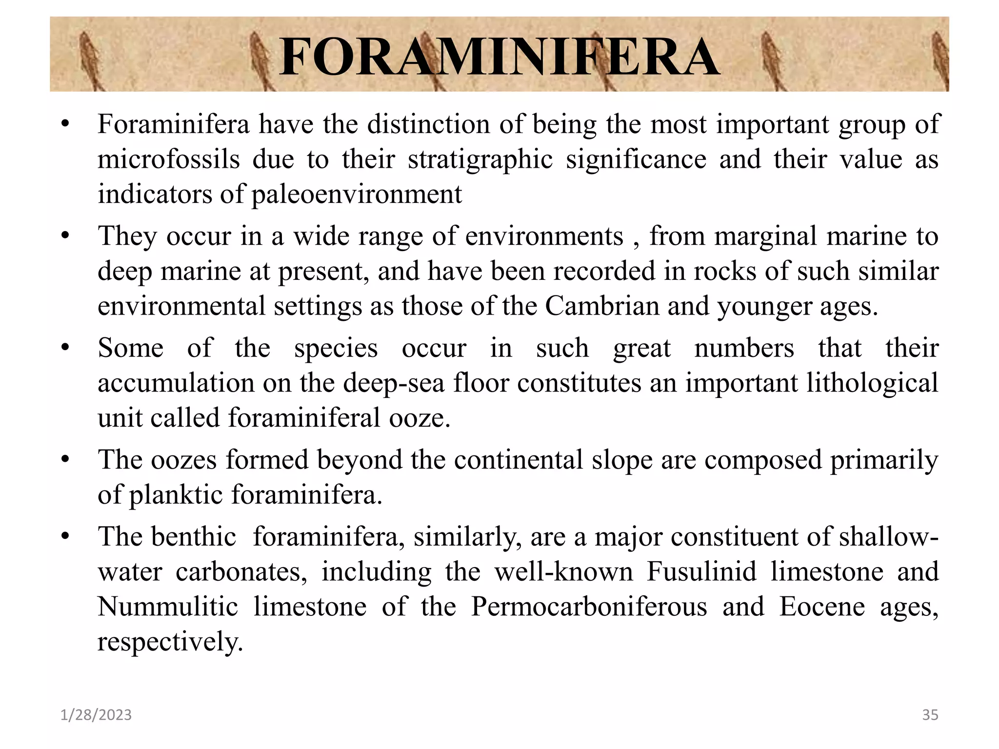 MICROPALEONTOLOGY ppt.pptx