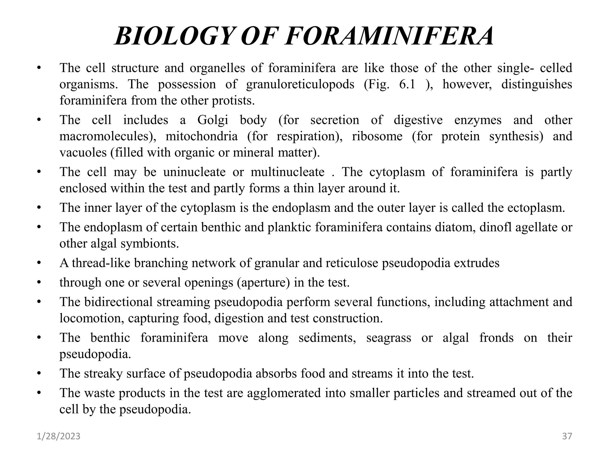 MICROPALEONTOLOGY ppt.pptx