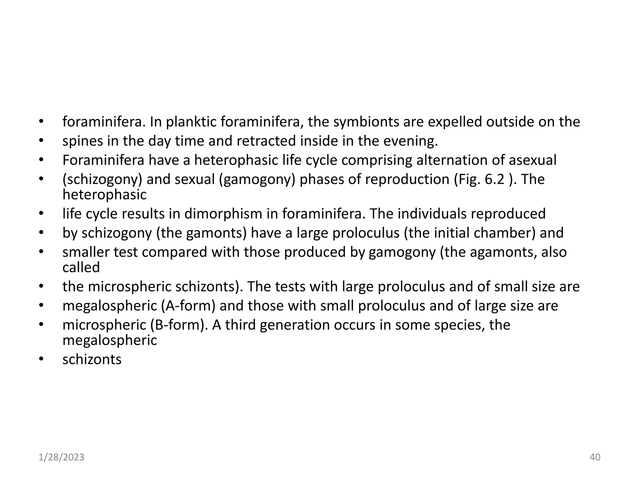 MICROPALEONTOLOGY ppt.pptx