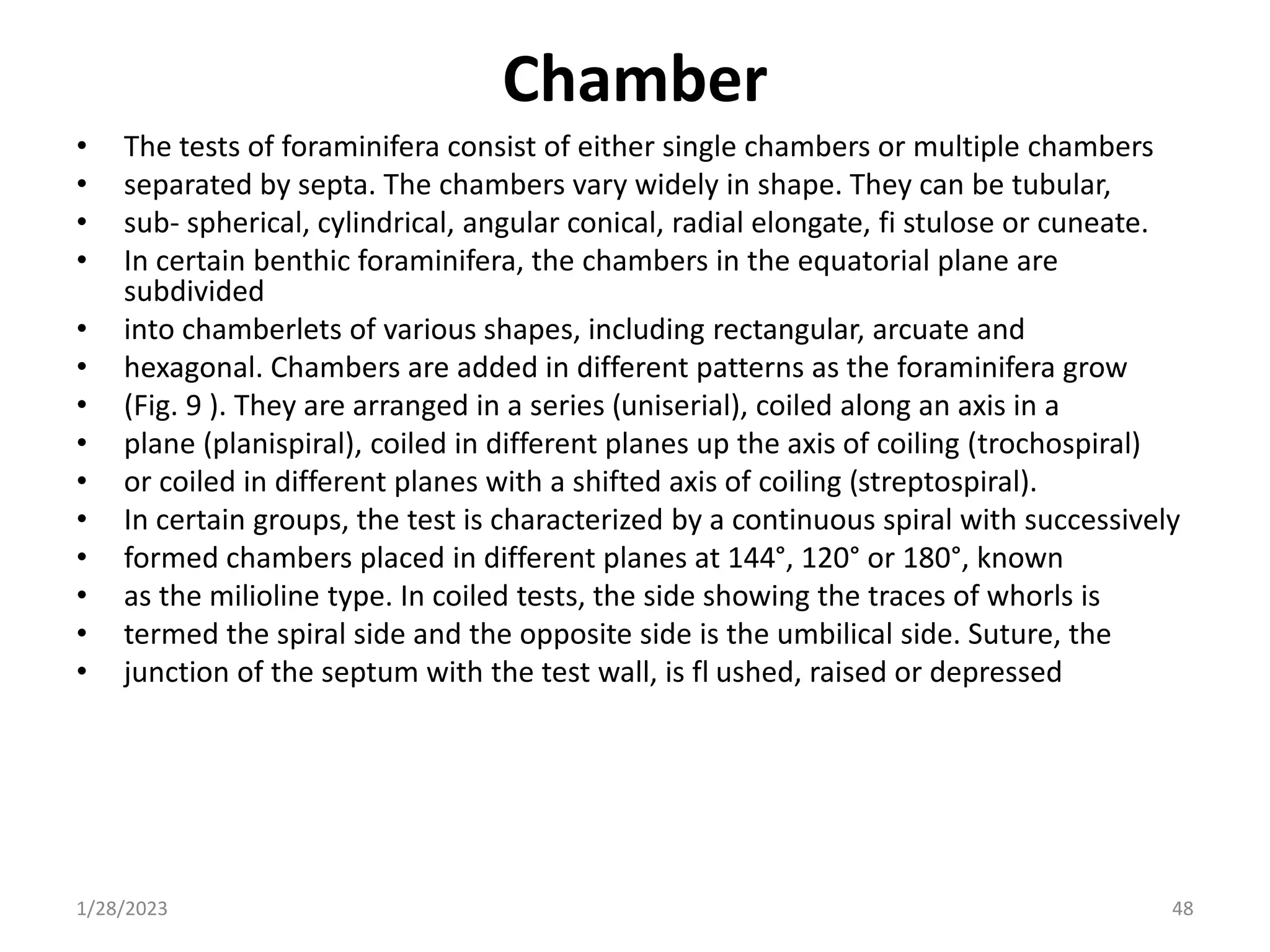 MICROPALEONTOLOGY ppt.pptx