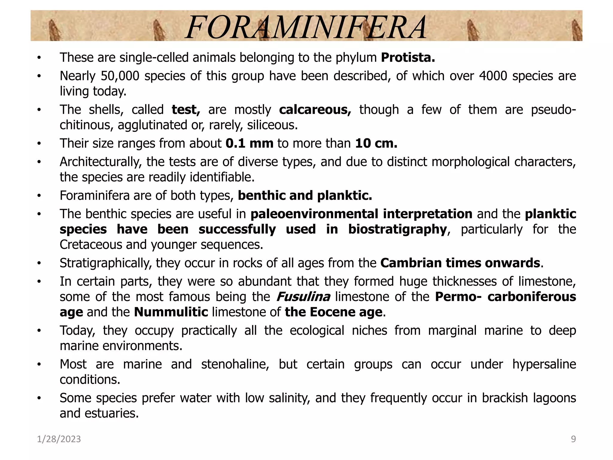 MICROPALEONTOLOGY ppt.pptx