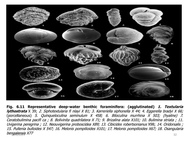 MICROPALEONTOLOGY ppt.pptx