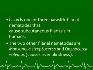 Loa-Loa in Microbiology & Parasitology | PPTX