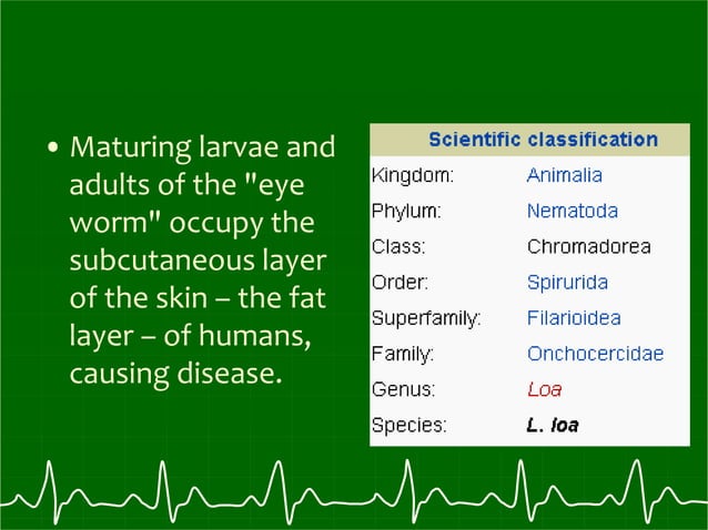 Loa-Loa in Microbiology & Parasitology | PPTX