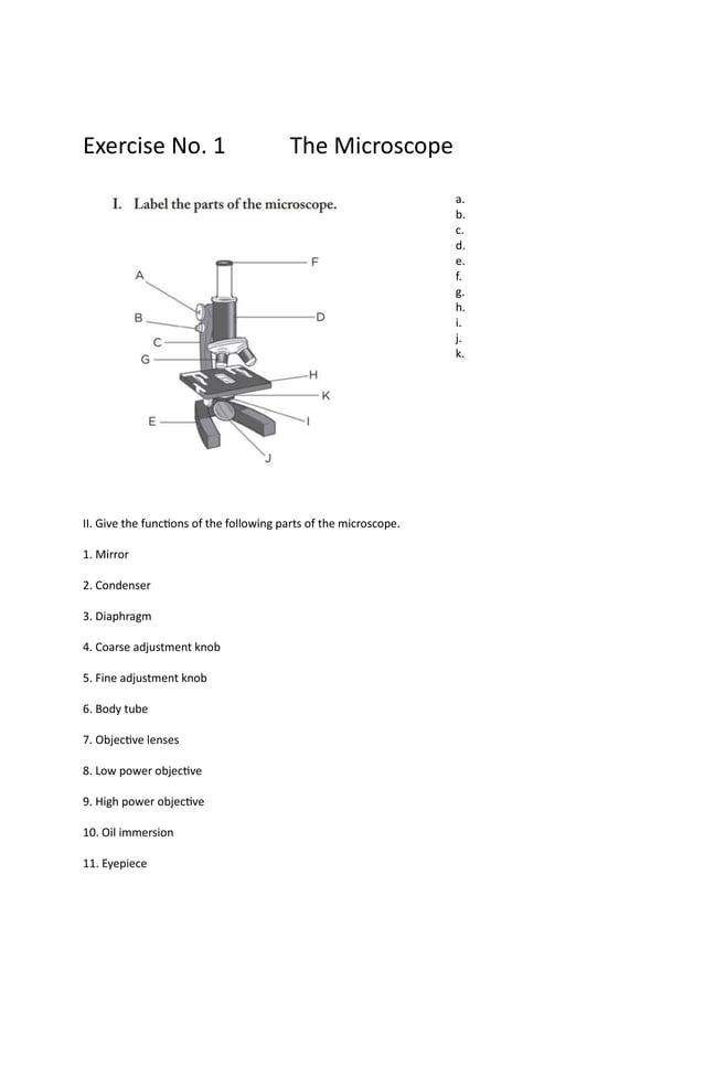 Microbiology & Parasitology Exercises Parts of the Microscope | DOCX