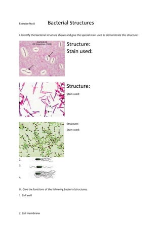 Microbiology & Parasitology Exercises Parts of the Microscope | DOCX