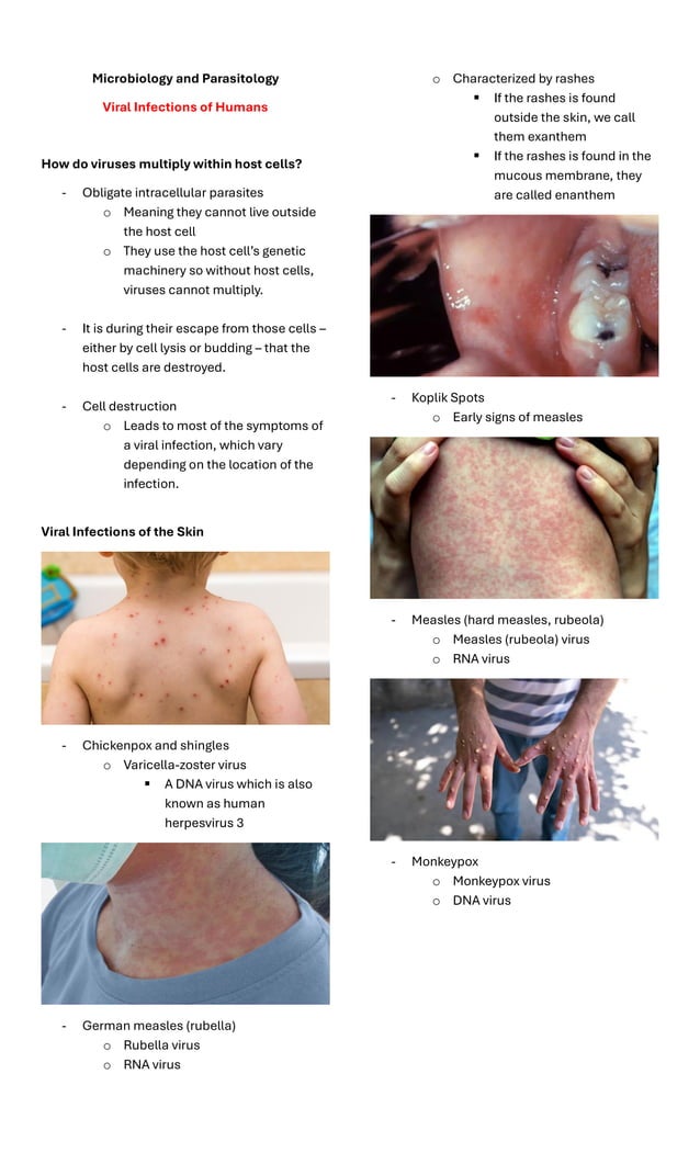 Microbiology and Parasitology Viral Infections of Humans | PDF