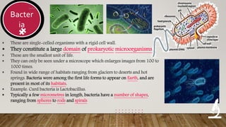 Microorganisms Friends And Foe Part 1 | PPT