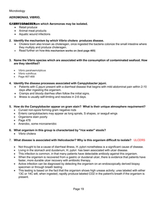 Microbiology Study Guides And Answers