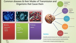 Microorganisms Friends and Foe Part 3 | PPTX
