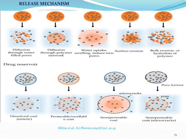 Microparticle : formulation and evaluation | PPTX | Chemistry | Science