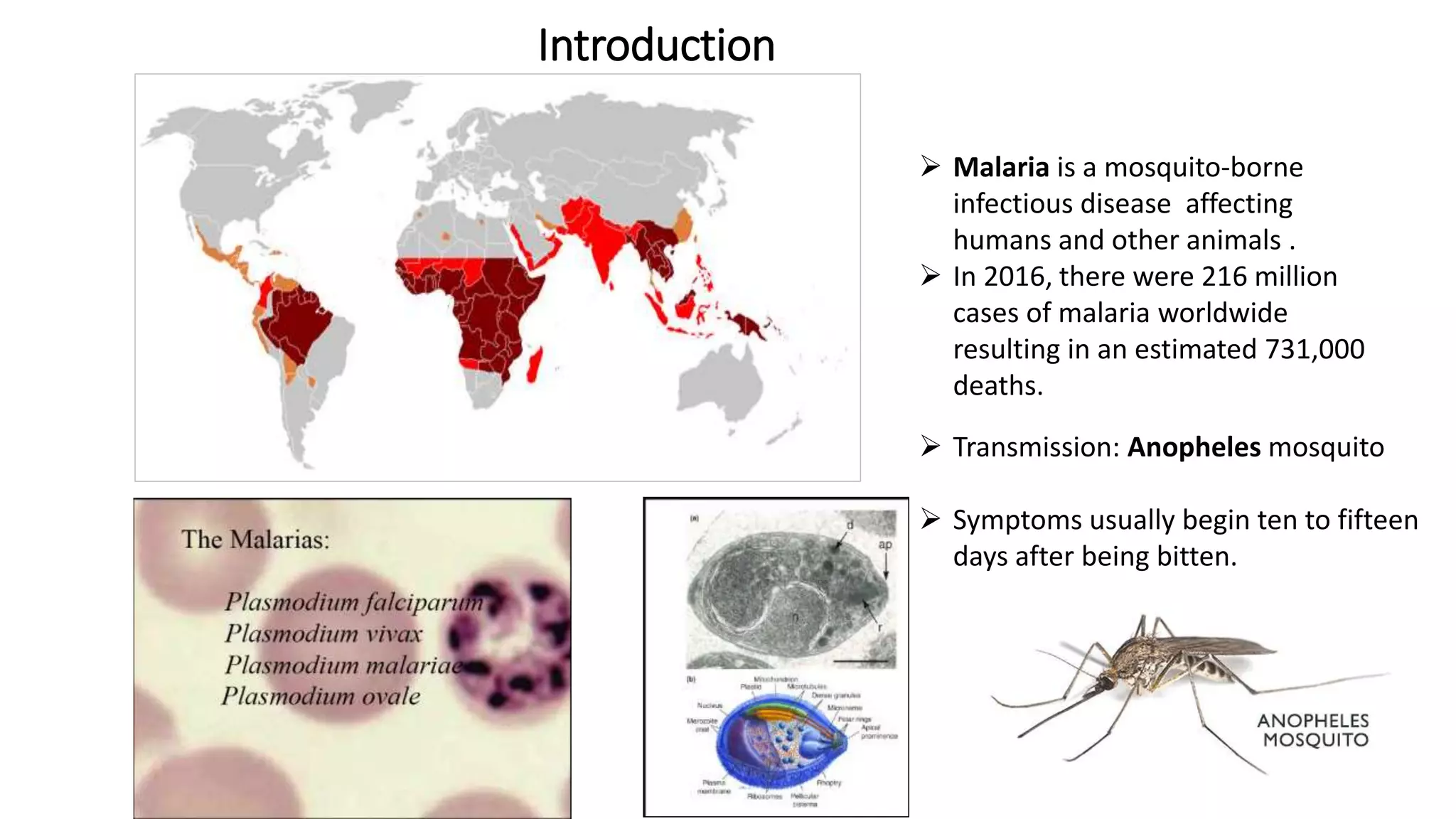 Fighting malaria | PPTX