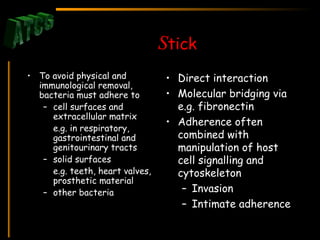 [Micro] pathogenesis | PPT