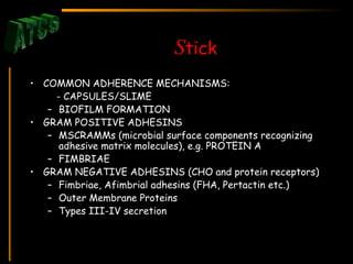 [Micro] pathogenesis | PPT