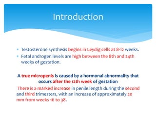 Micropenis.pptx