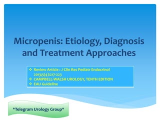 Micropenis Diagnosis and Treatment Approaches | PPT