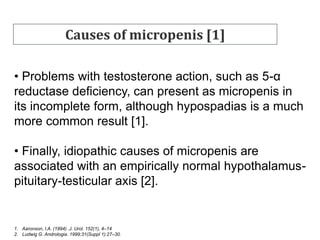 Micropenis in Children-Evaluation and Management | PDF