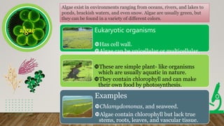 Microorganisms Friends and Foe (Part 2) | PPTX