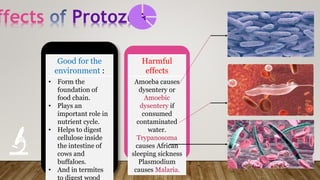 Microorganisms Friends and Foe (Part 2) | PPT