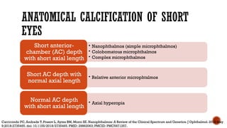 Microphtalmosvsnanophthalmosclinical .pptx