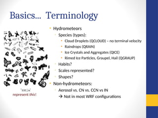 WRF model Cloud Microphysics paramterization | PPT