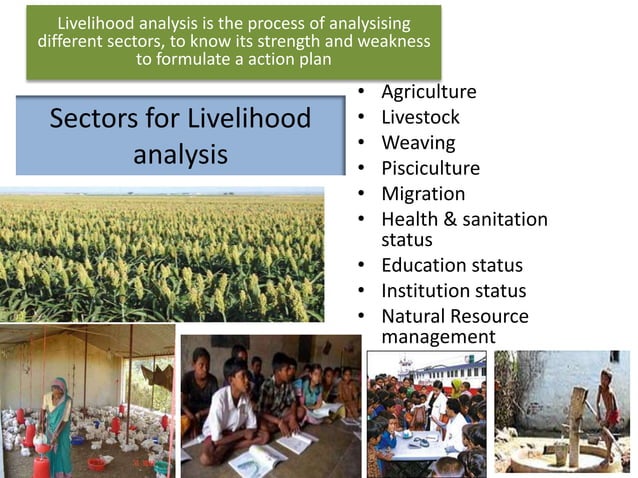 Micro planning process | PPTX | Business | Business and Finance