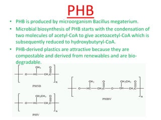 Micro plastic | PPTX