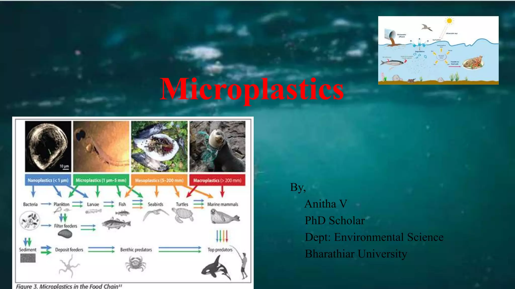 Microplastics | PPTX