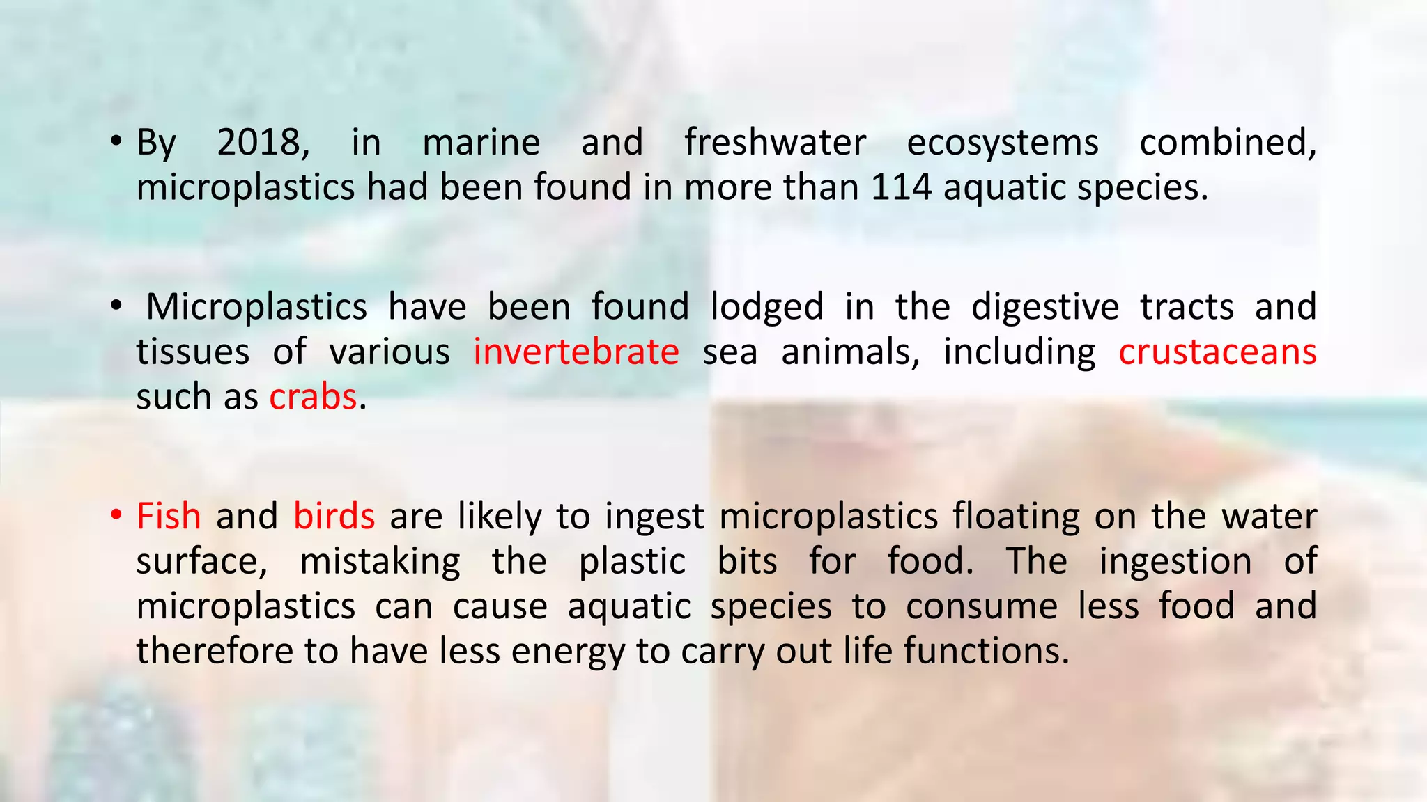 Microplastics | PPTX