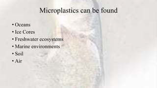 Microplastics | PPTX