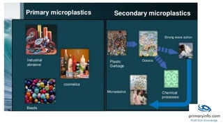 Microplastic | PDF