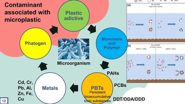 Microplastic - International Webinar MKL.pptx | Chemistry | Science