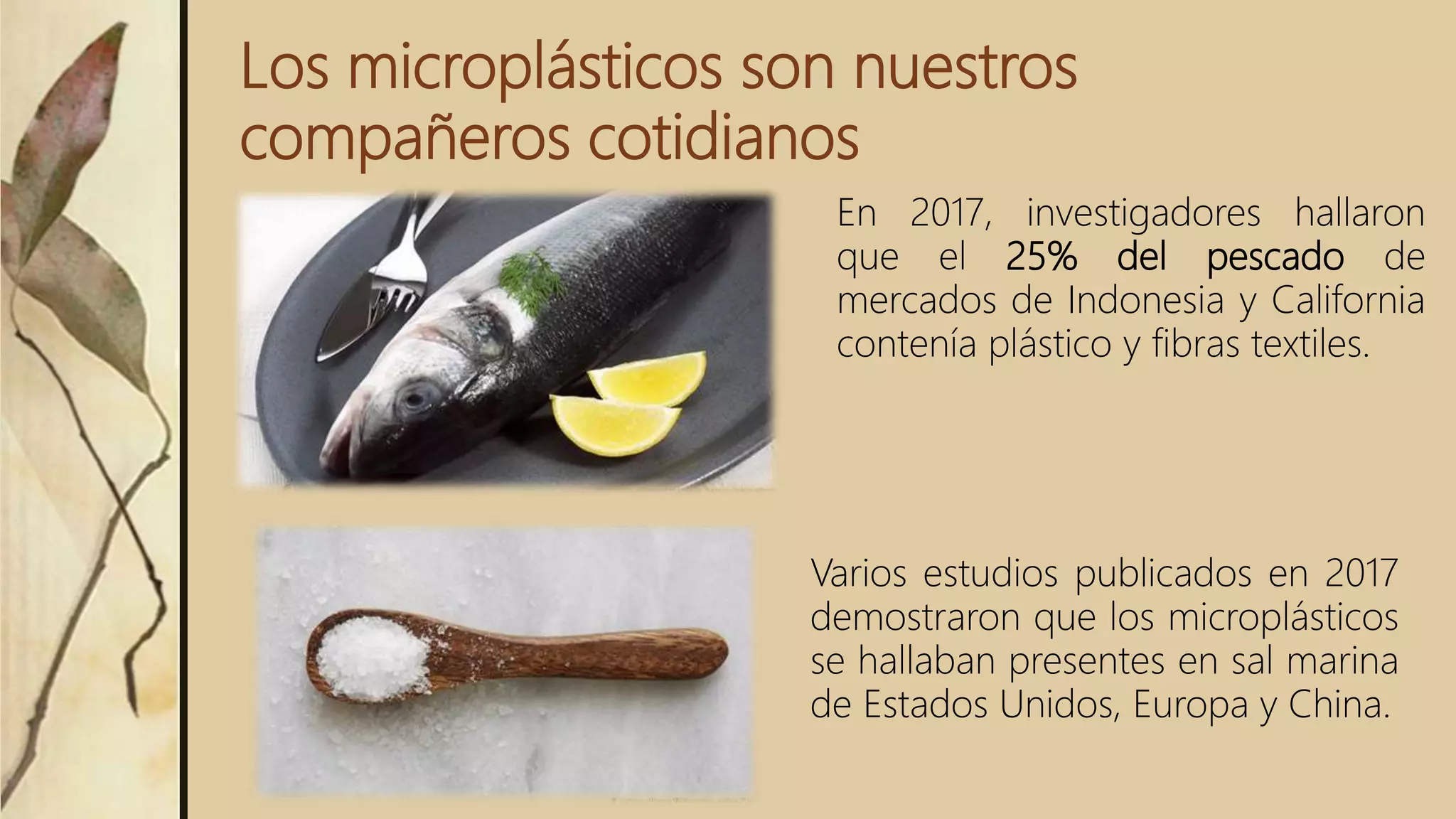 Microplasticos en el suelo | PPTX