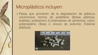 Microplasticos en el suelo | PPTX