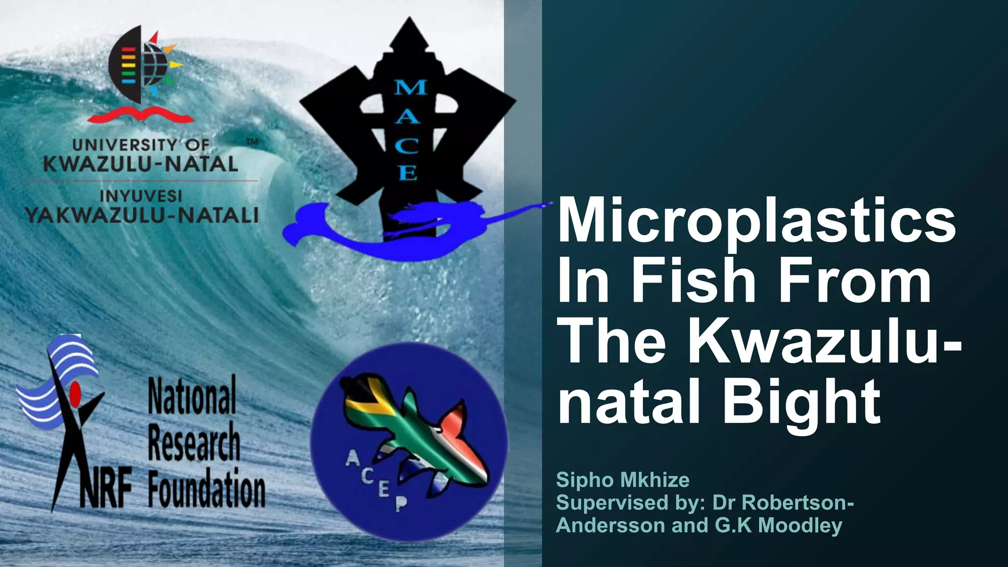 Microplastics in fish from the KZN Bight | PPTX