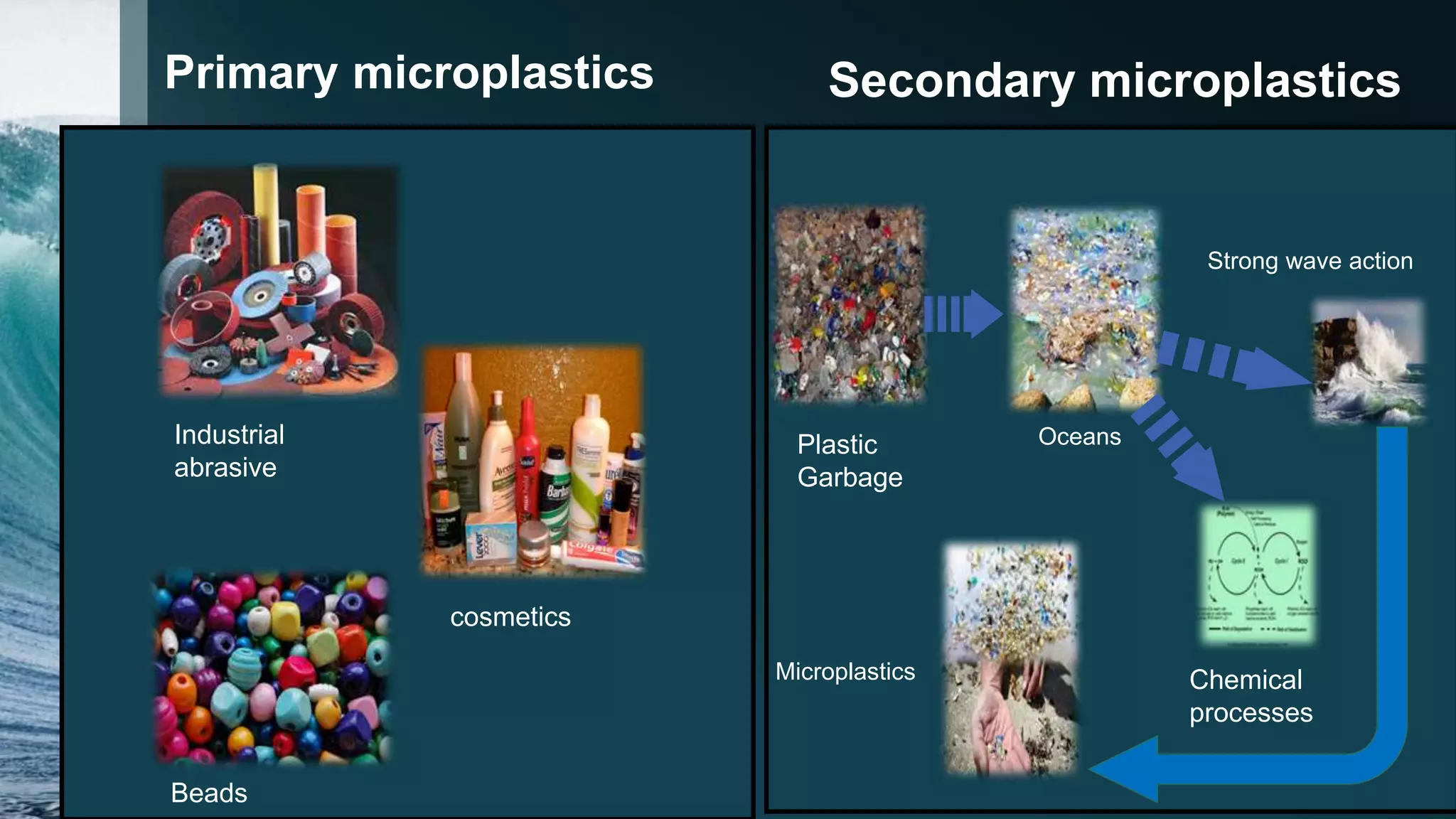 Microplastics in fish from the KZN Bight | PPTX