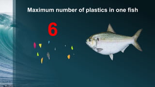 Microplastics in fish from the KZN Bight | PPTX