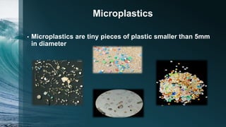 Microplastics in fish from the KZN Bight | PPTX