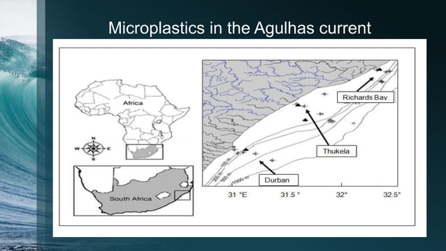 Microplastics in fish from the KZN Bight | PPTX | Geography | Science