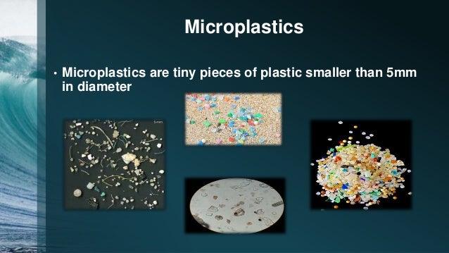 Microplastics in fish from the KZN Bight