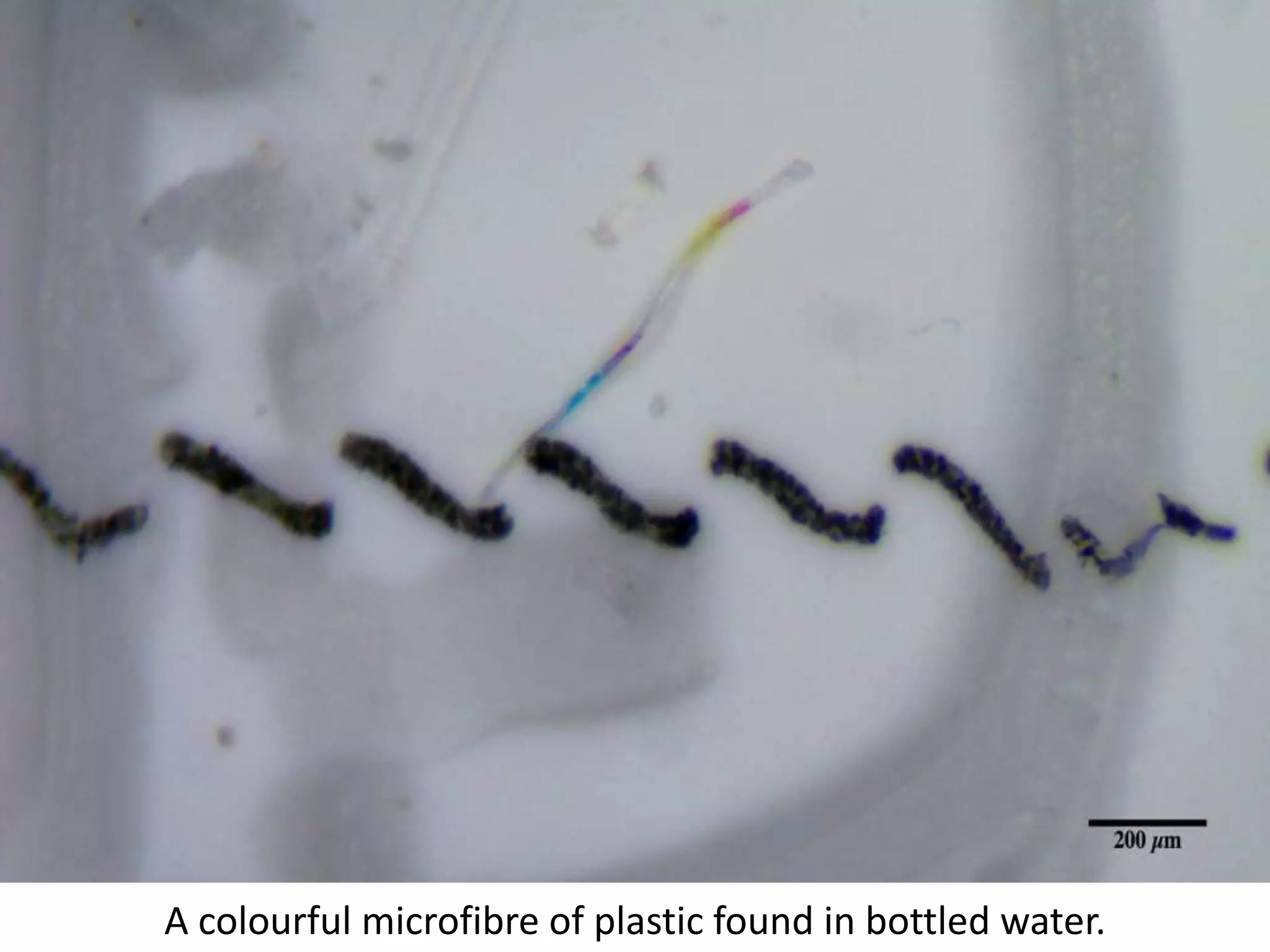 Microplastics | PPTX