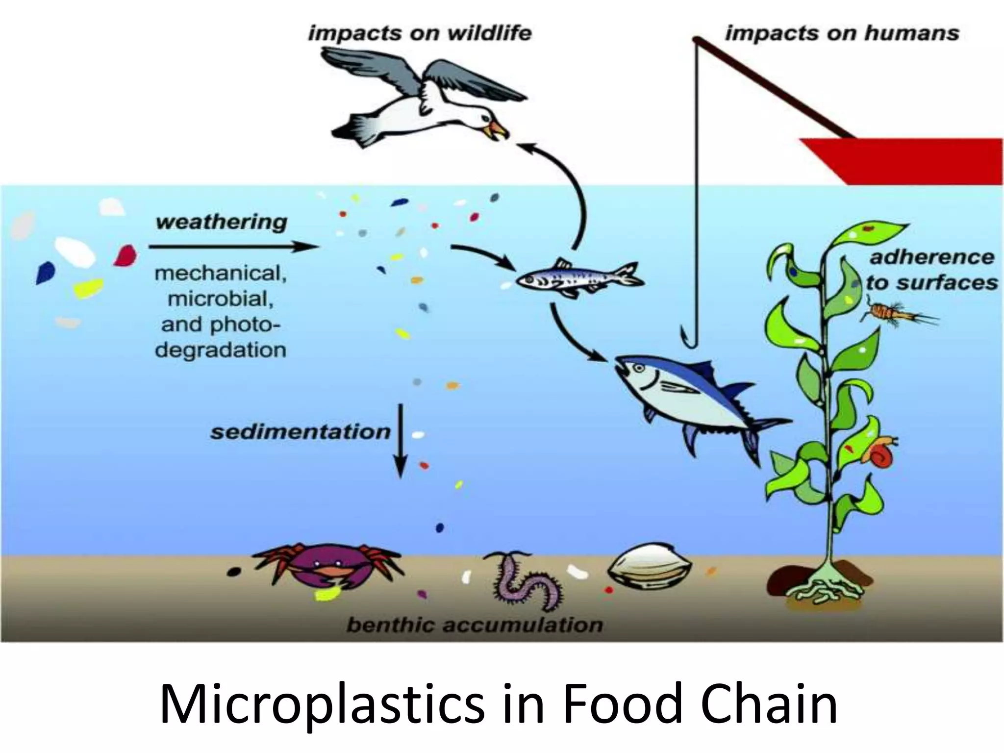 Microplastics | PPTX