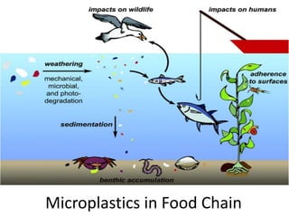 Microplastics | PPTX