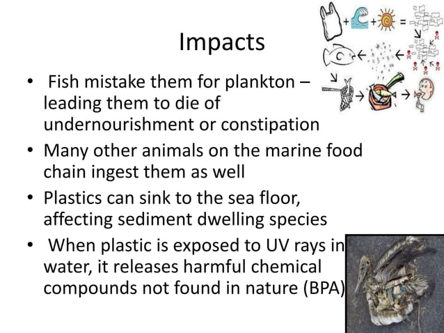 Microplastics | PPTX | Science