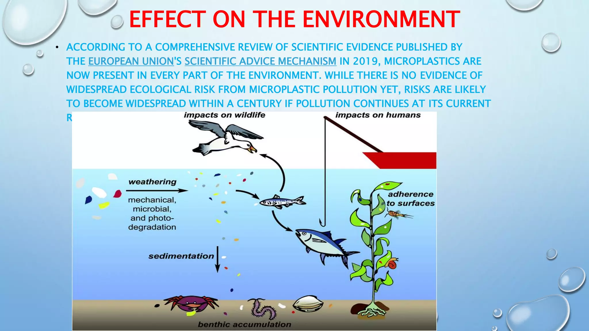Microplastics | PPTX