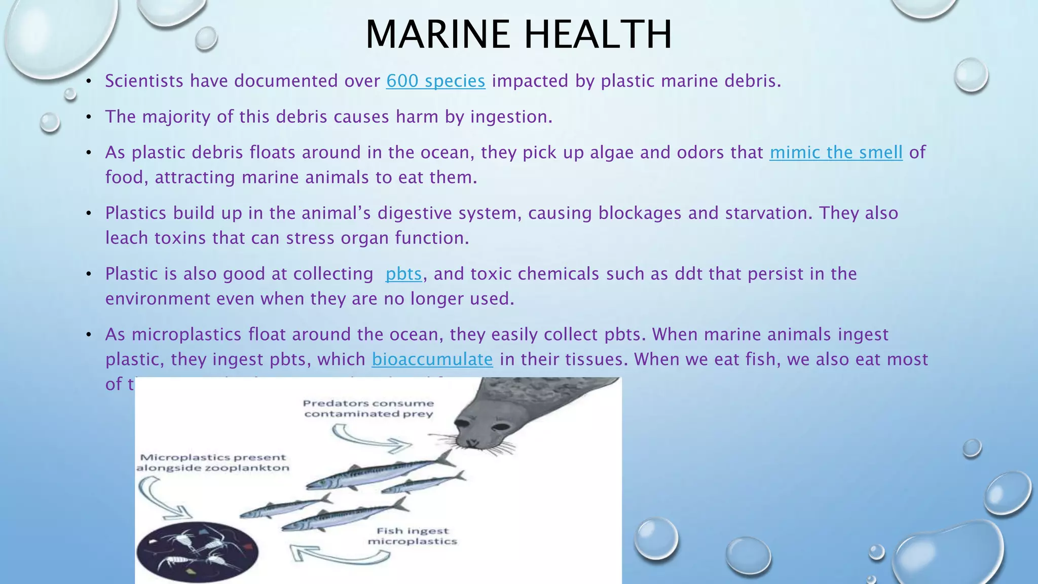 Microplastics | PPTX