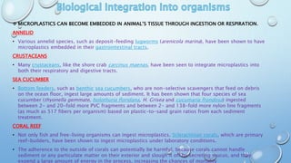 Microplastics | PPTX
